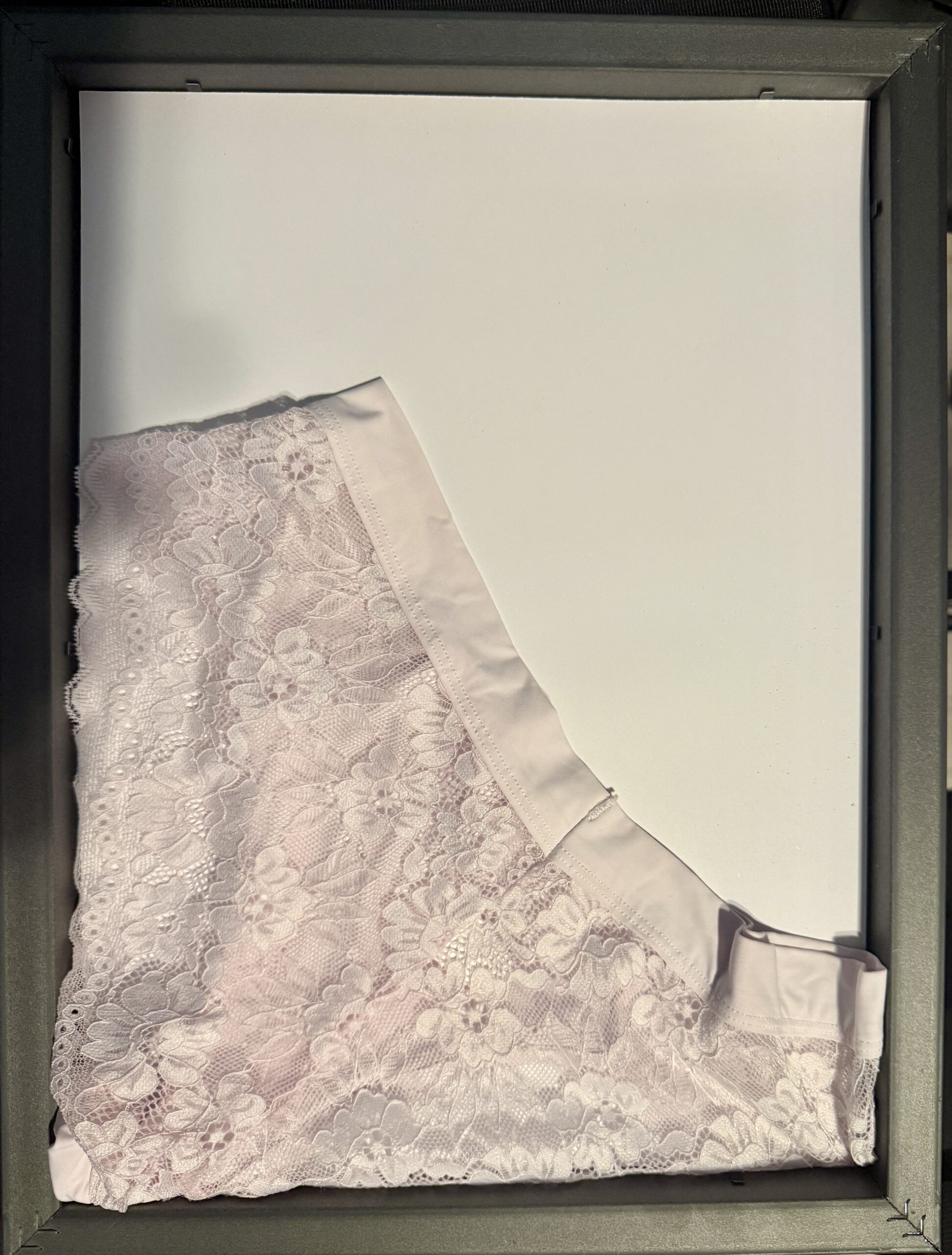 Framed & Signed Photo With My Favorite White Lace Panties - My ...